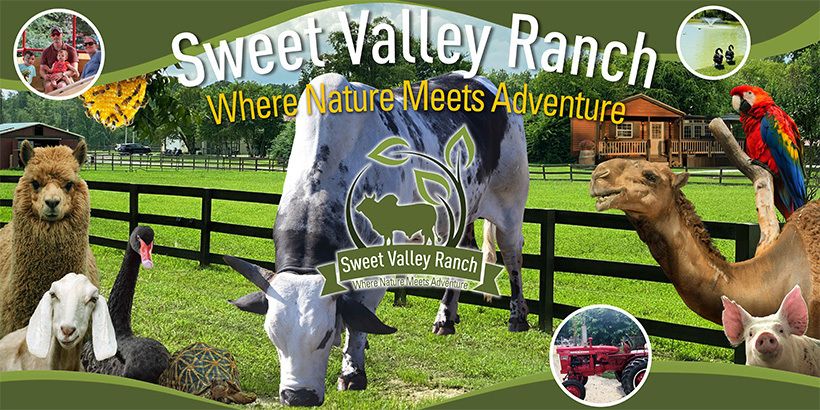 Family Fun & Farm Tours | Sweet Valley Ranch | Fayetteville