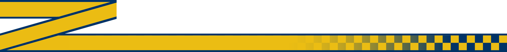 Chicago Security Company