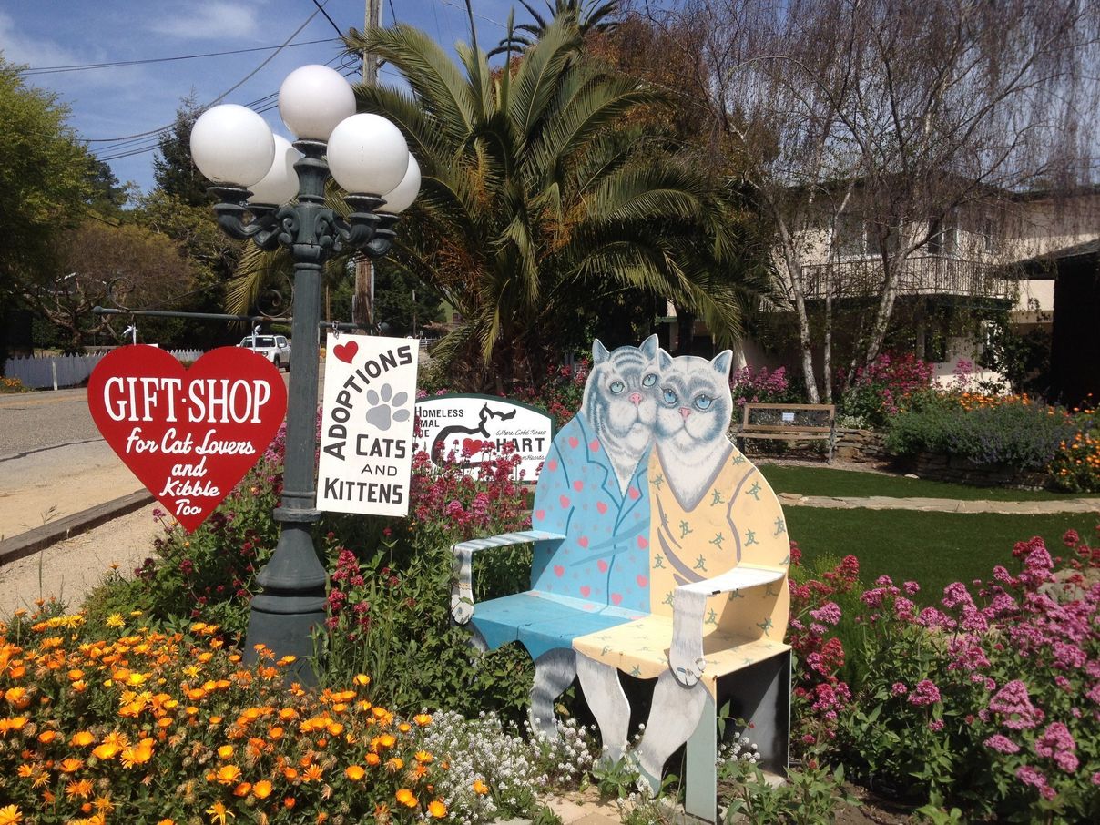 Homeless Animal Rescue Team