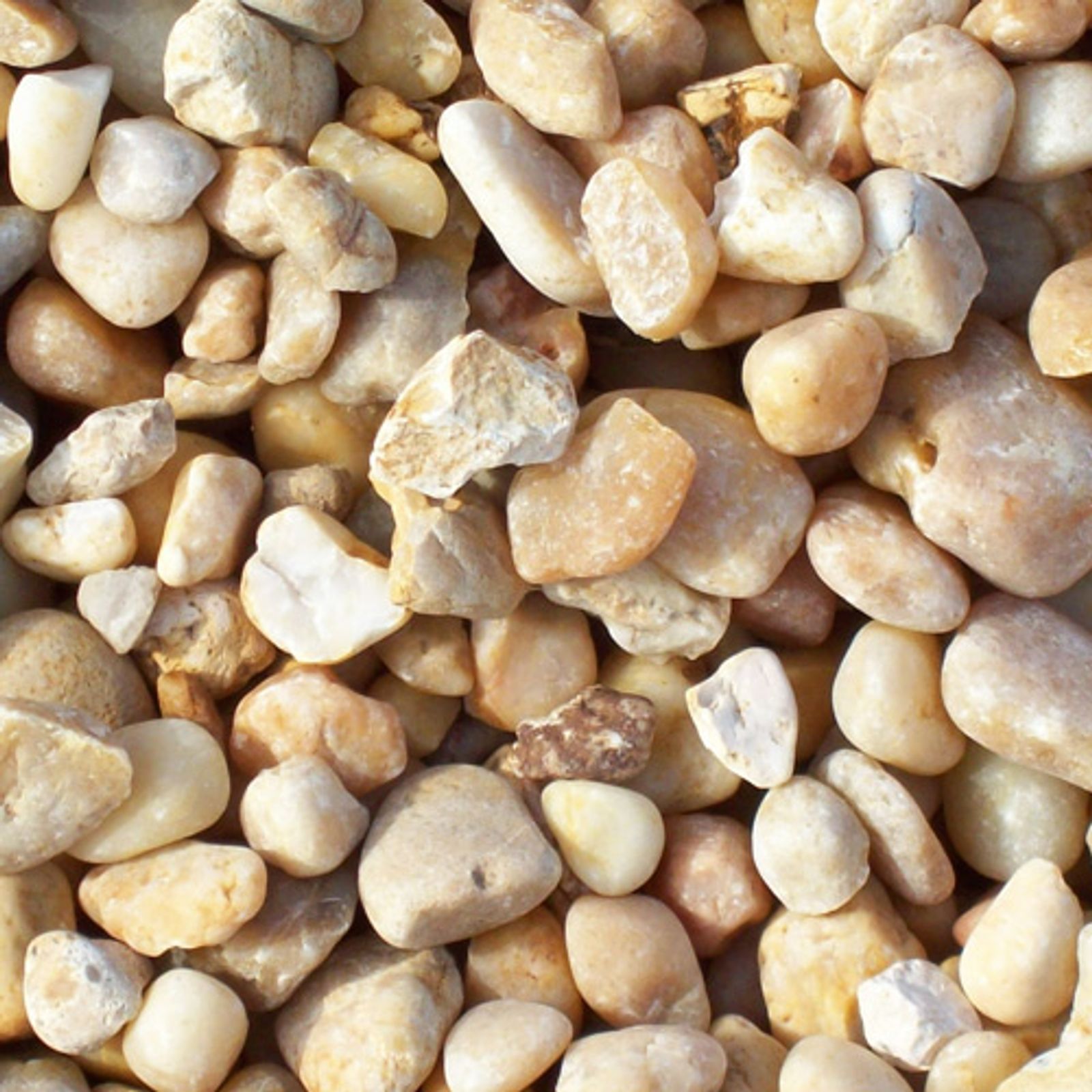 Premium Landscaping Supplies in Riverview, FL | TMI Landscape Materials