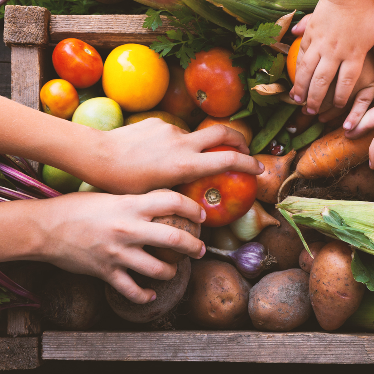 Fresh Produce | CSA | Henry’s Family Farm | Huntsville, AL