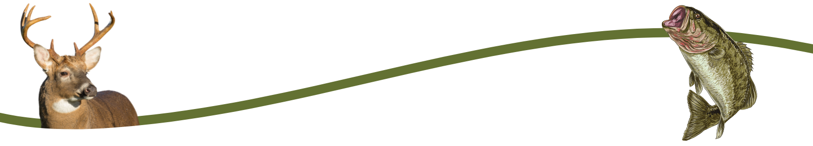 Mayhoods Sporting Goods- Norwich, NY