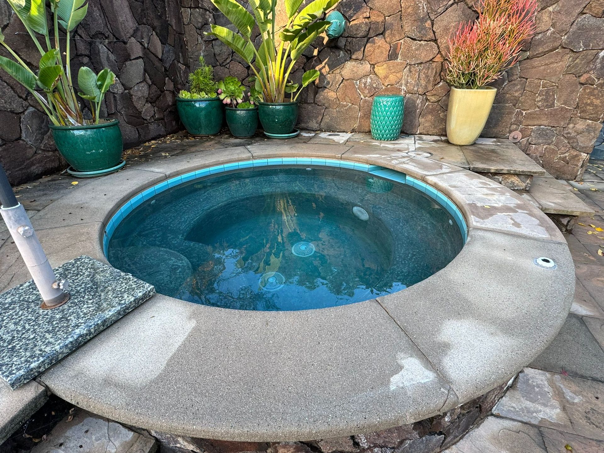 Swimming Pool Contractor near Novato, Ca - Cota Pools Novato Ca