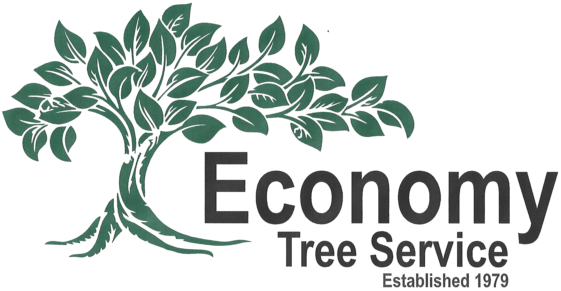 Sacramento's Affordable Tree Service Experts My Economy Tree Service