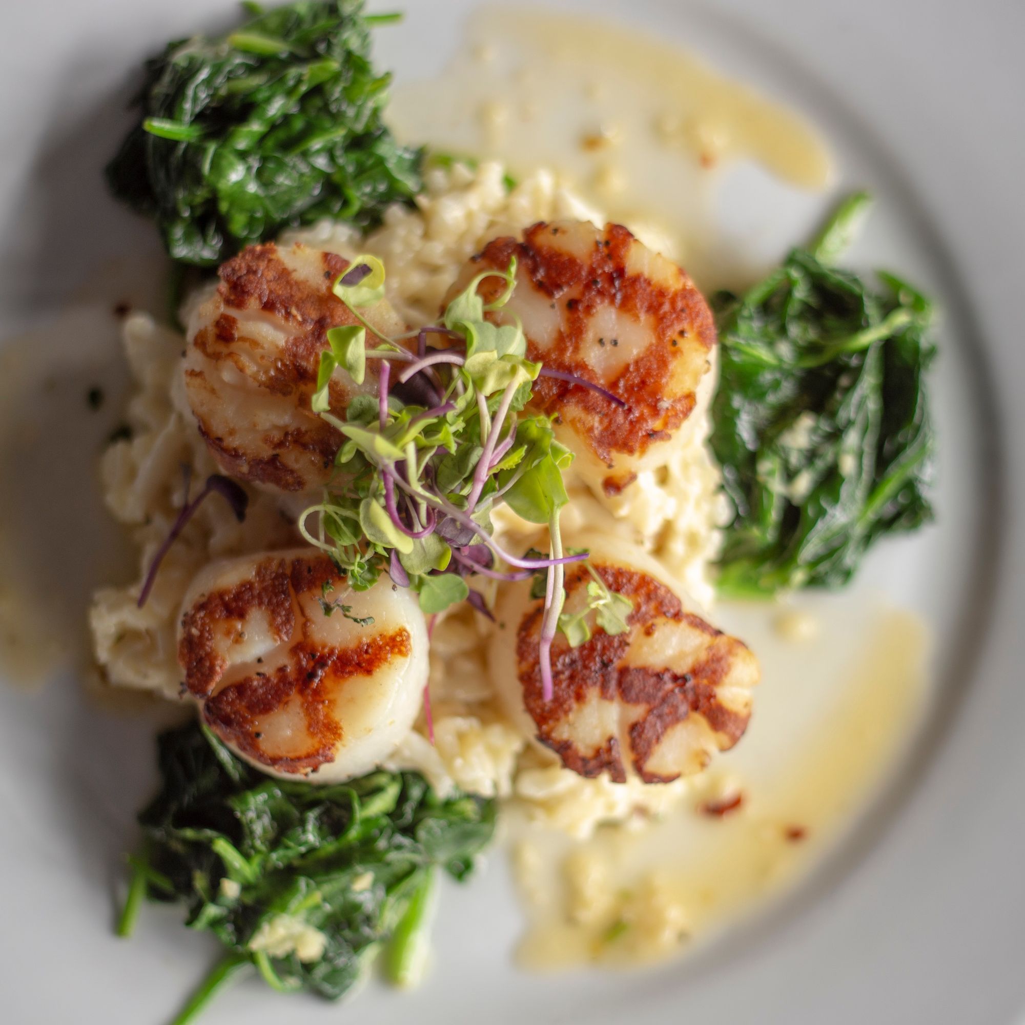 Live Fire Chefs | Catering Services Around Ocala, FL