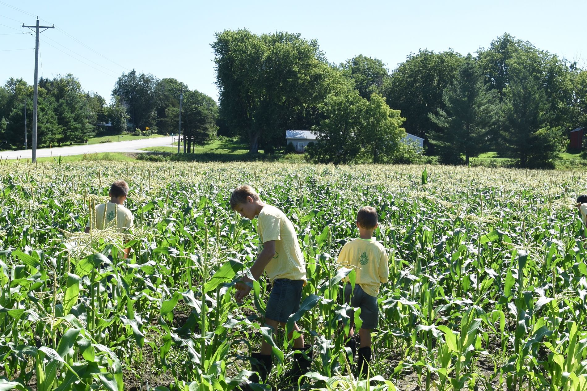 Country Acres | Home