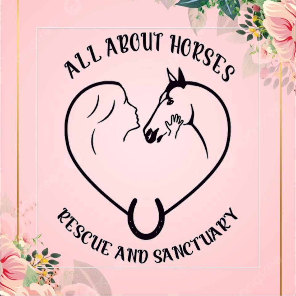 All About Horses Rescue and Sanctuary