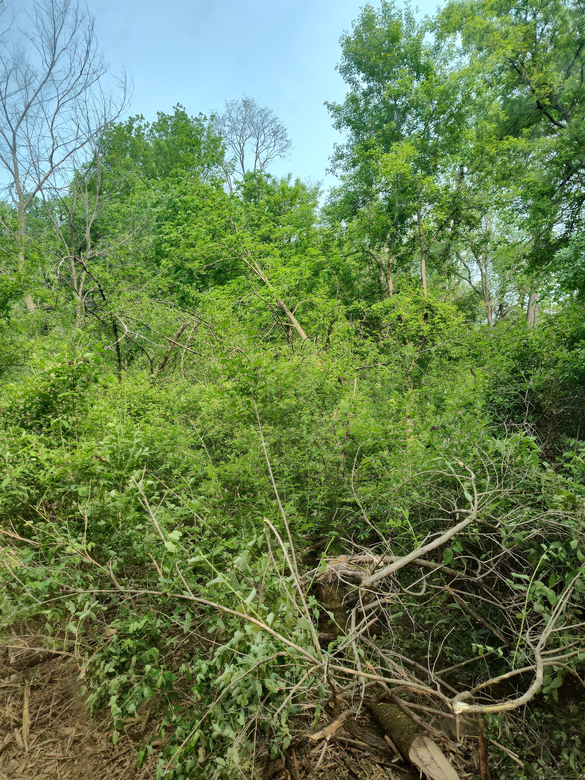 TK Land Management LLC