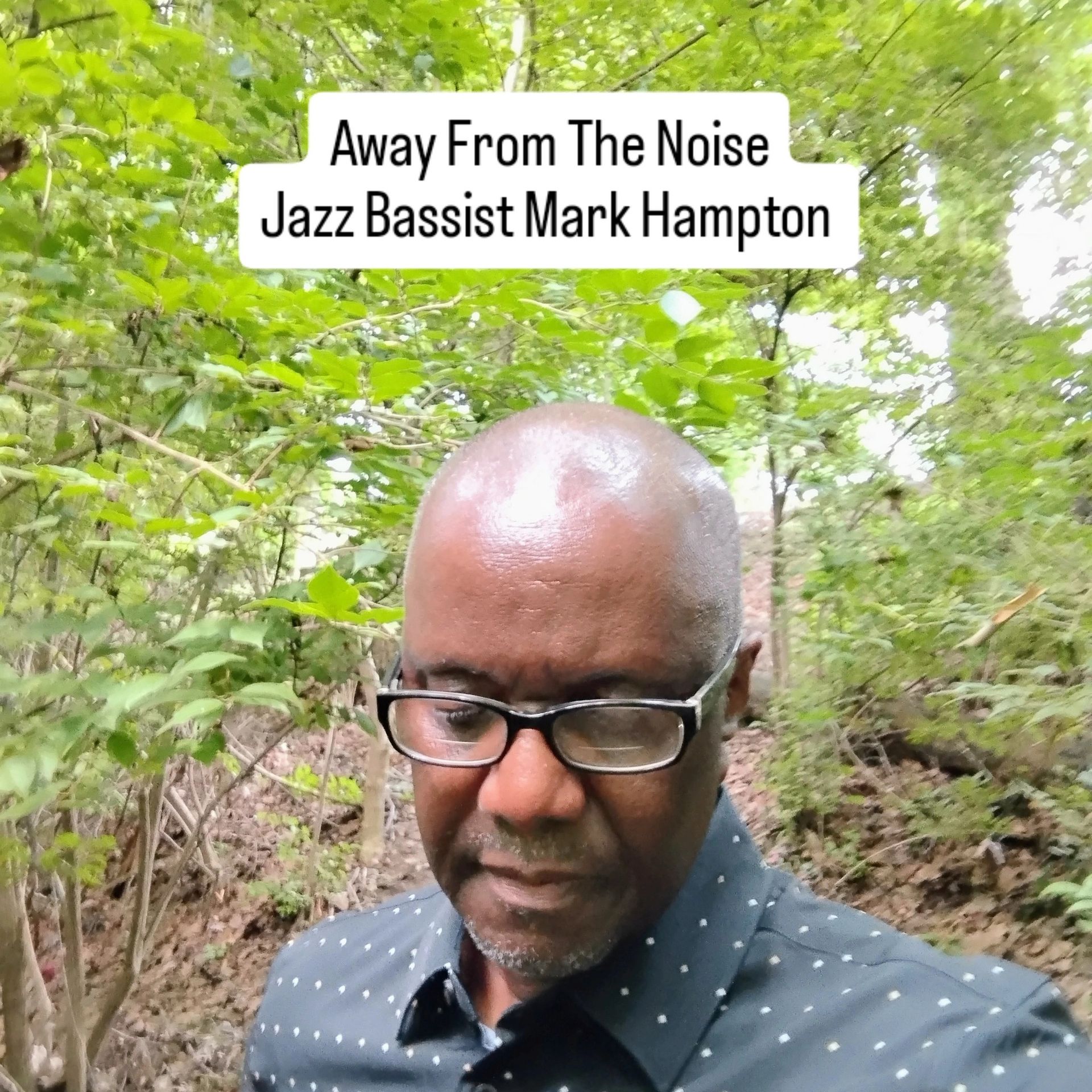 Jazz bassist in Columbus, Ohio - Mark Hampton Music