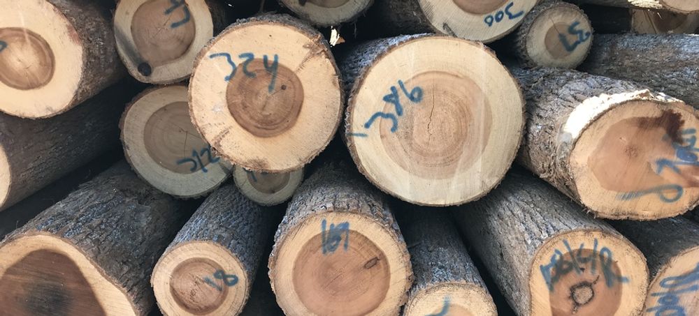 Jerry G Williams & Sons Lumber Inc. | Lumber Mill Products | Smithfield, NC